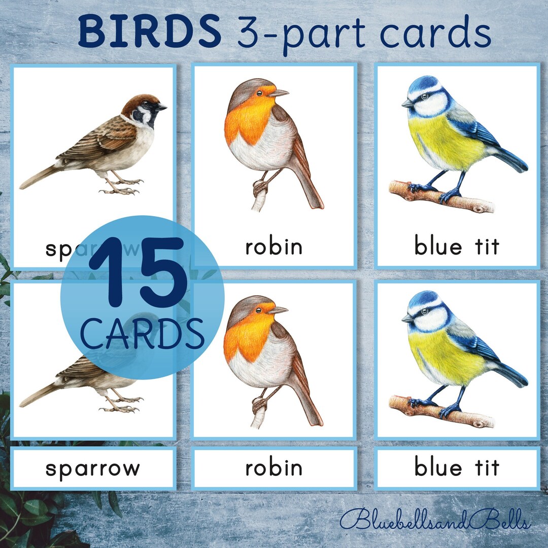 Birds Montessori Printable 3 Part Cards. Spring Vocabulary Activity for ...