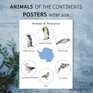 Animals of the Continents Posters and Sorting Activity. Montessori ...