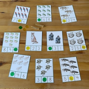 Rainforest Animals Count and Clip Cards 1-10. Preschool Math Printable ...
