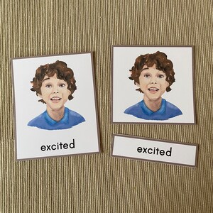 Emotions 3-part Cards. Montessori Printable Feelings Vocabulary ...