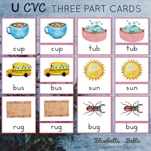 Montessori Printable CVC Phonics 3-part Cards. CVC Words Reading ...