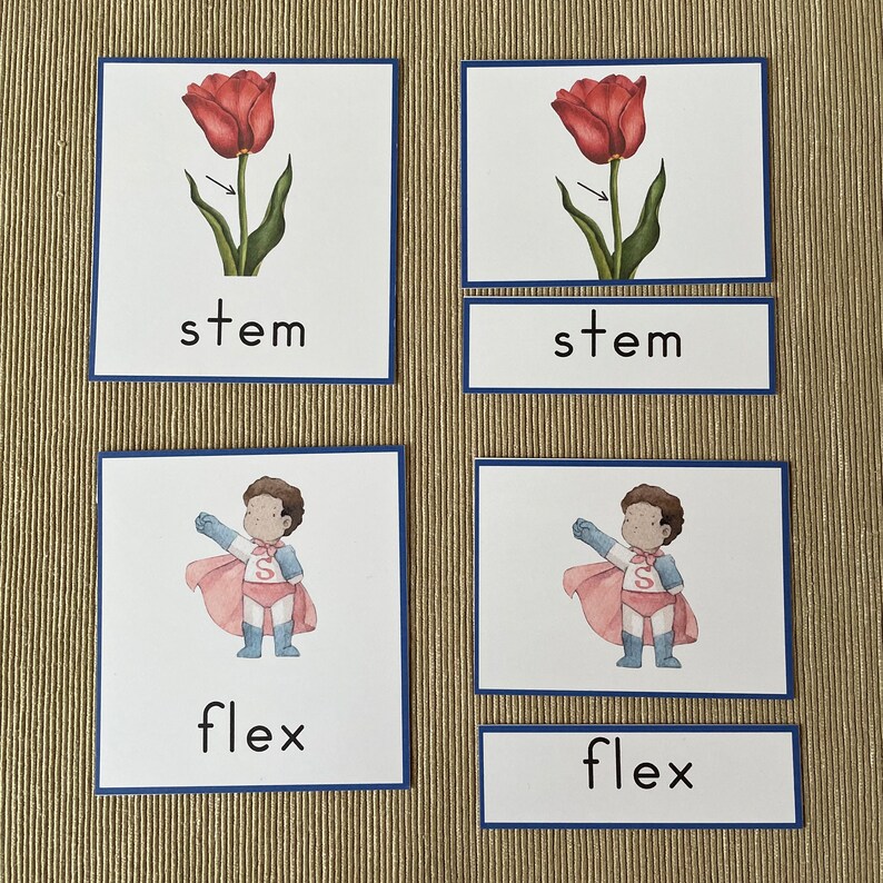 Beginning Blends 3-part Cards. CCVC Words Reading Activity. Montessori ...