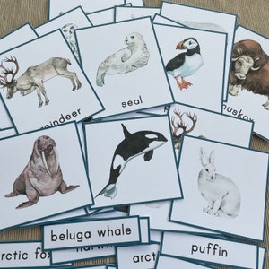 Arctic Animals 3 Part Cards. Montessori Winter Printable Vocabulary ...