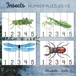 Insects Puzzle Number Sequence 1-5. Toddler Montessori Printable Busy ...