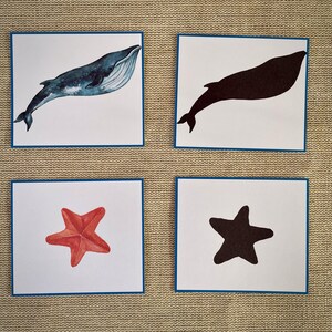 Ocean Animal Shadow Matching Cards. Montessori Summer Preschool ...