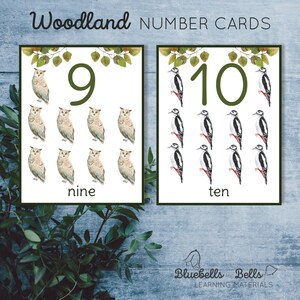 Woodland Animals Number Flashcards 1-10. Nature Counting Cards 1-10 ...