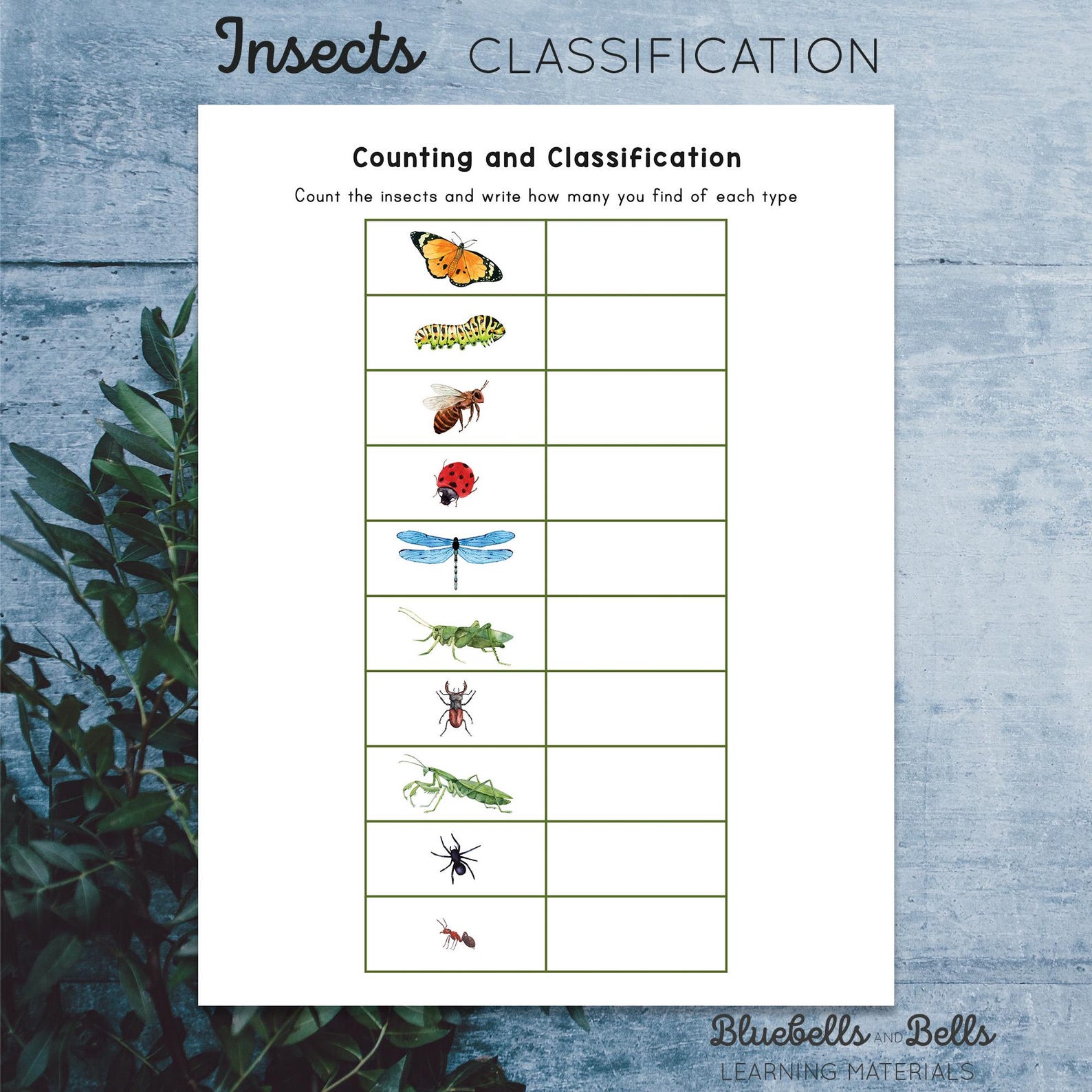 Insects Preschool Printable Graphing. Kindergarten Math Activity. - Etsy