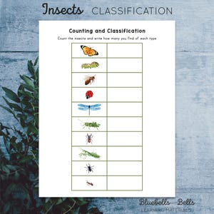 Insects Preschool Printable Graphing. Kindergarten Math Activity. - Etsy