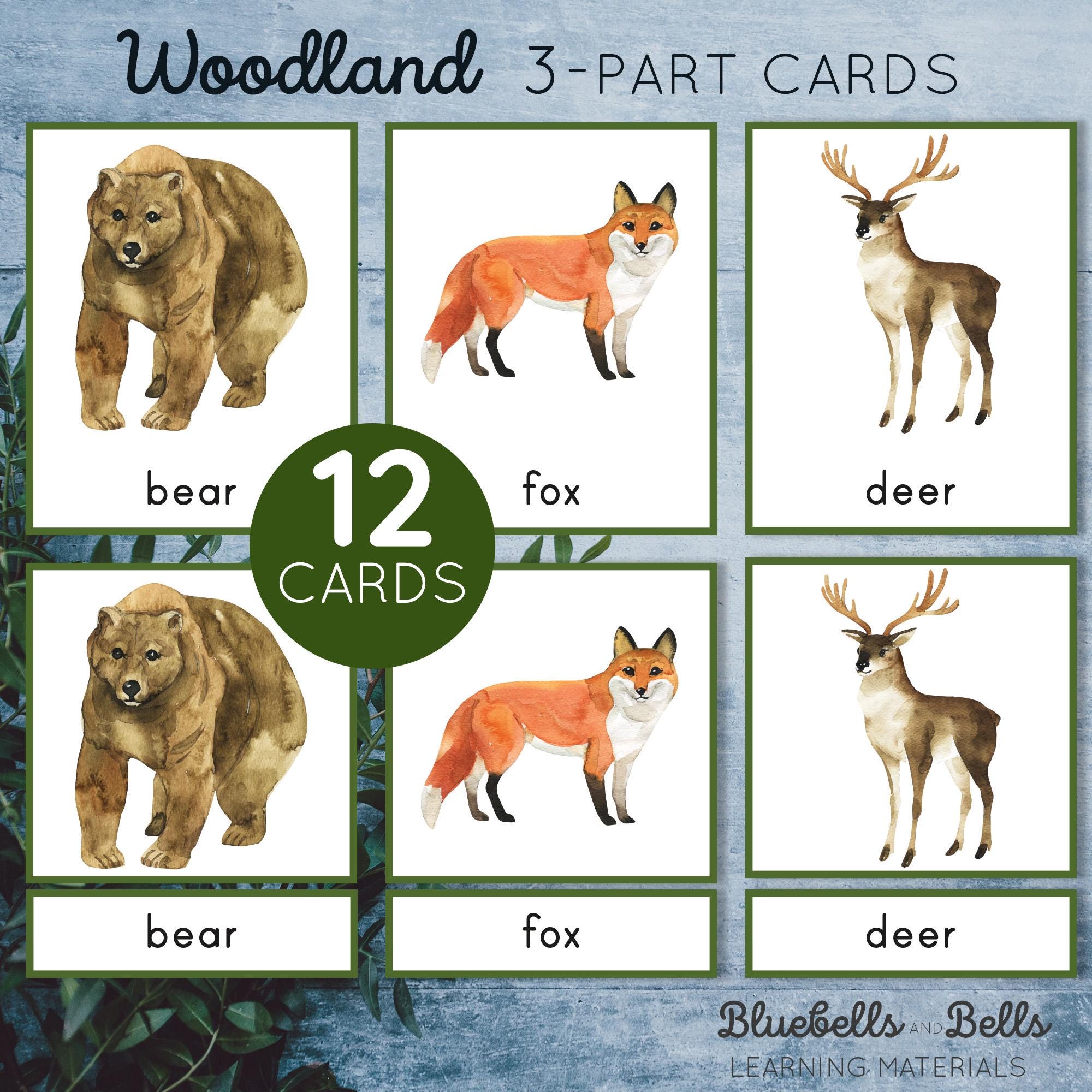 Woodland Animals Montessori 3 Part Cards. Preschool Vocabulary Activity ...