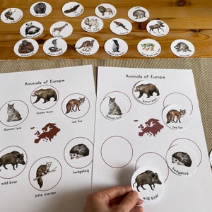 Animals of the Continents Posters and Sorting Activity. Montessori ...