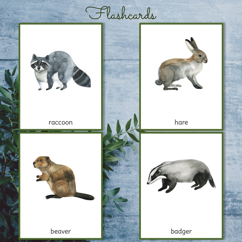 Woodland Animal Flash Cards. Toddler Printable Watercolor - Etsy