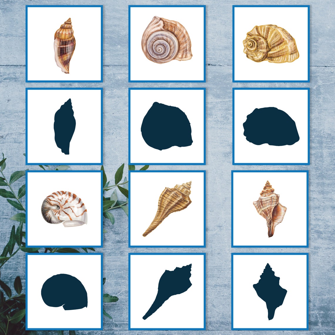 Seashell Shadow Matching Cards. Montessori Preschool Ocean | Etsy