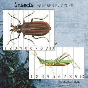 Insect Preschool Printable Number Sequence Puzzles 1-10. Montessori ...