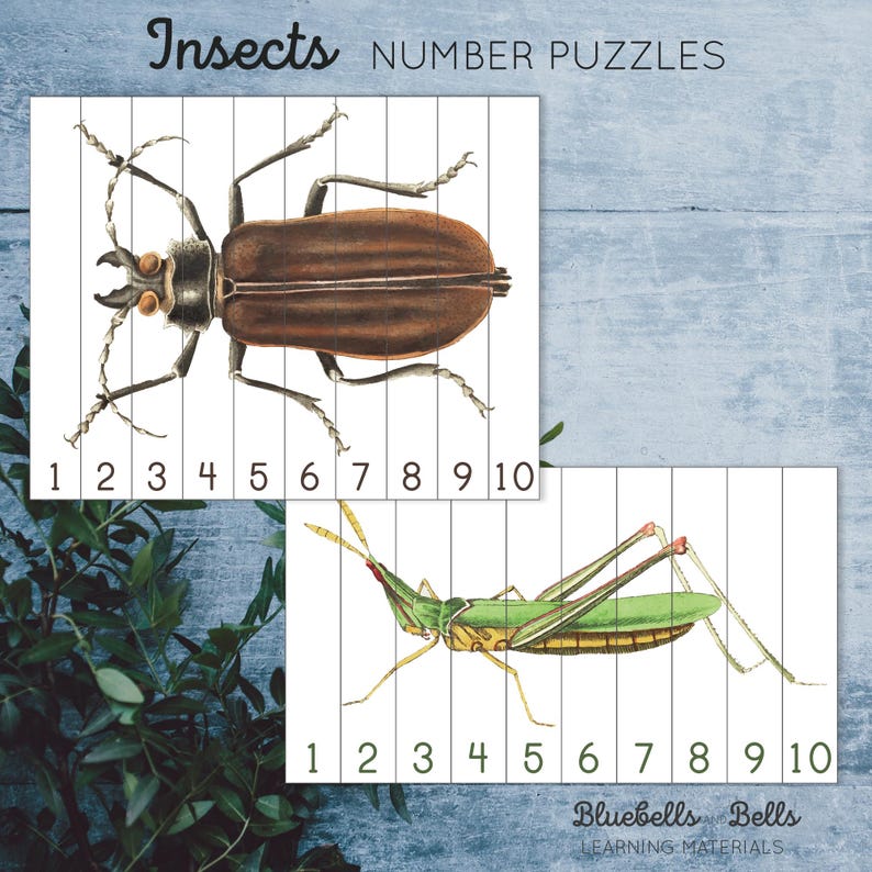 Insect Preschool Printable Number Sequence Puzzles 1-10. Montessori ...