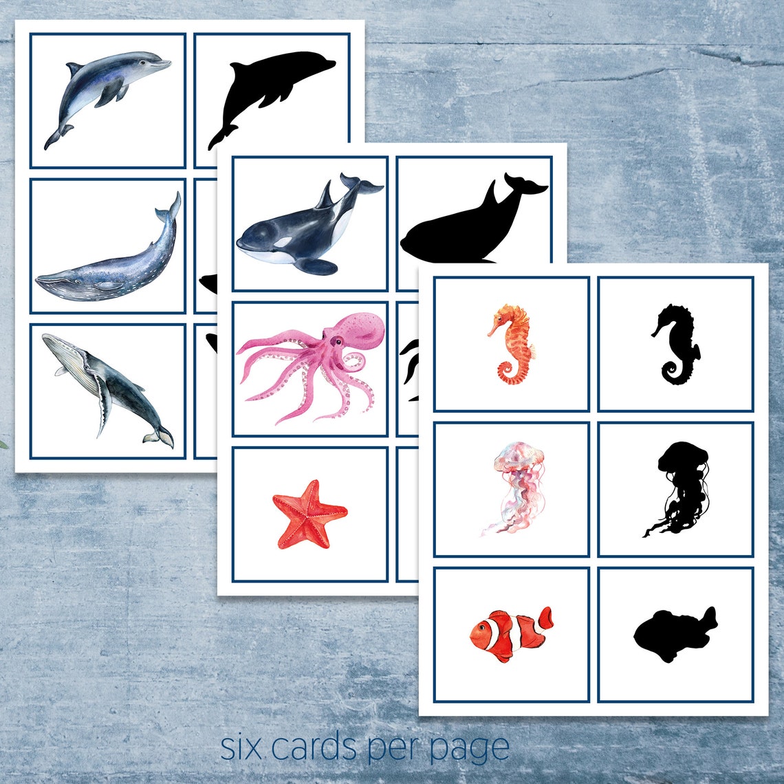 Ocean animal shadow matching cards. Montessori summer | Etsy