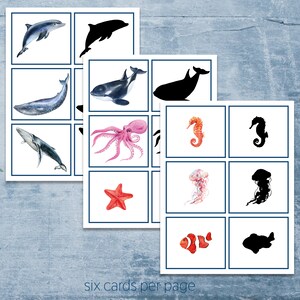 Ocean Animal Shadow Matching Cards. Montessori Summer Preschool ...
