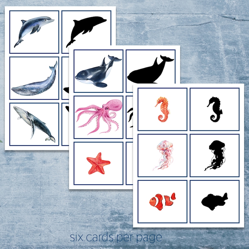 Ocean Animal Shadow Matching Cards. Montessori Summer - Etsy Canada