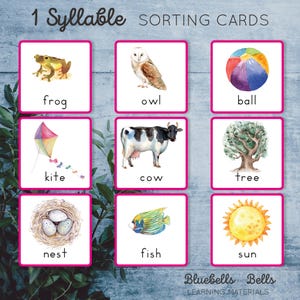 Syllable Sorting Printable Activity. Montessori Preschool and ...