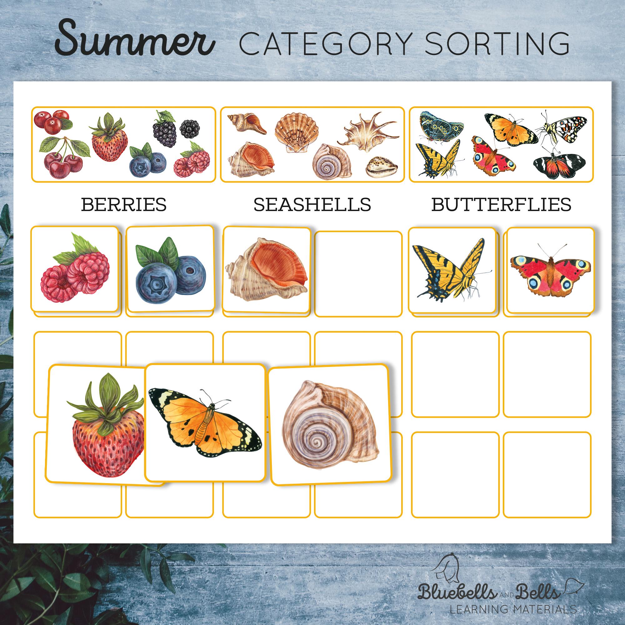 Summer Preschool Montessori Printable Category Sorting BUTTERFLIES ...