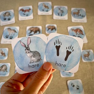 Winter Woodland Animal Tracks Flashcards. Montessori Winter Printable ...
