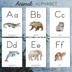 Animal Alphabet Cards. Watercolor Letter Flash Cards. Classroom ABC ...