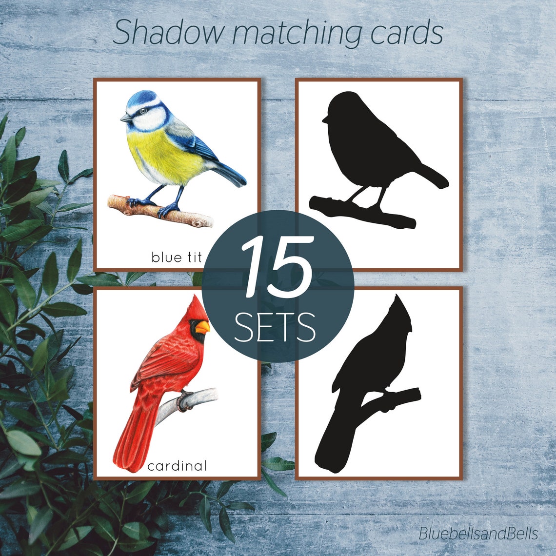 Bird Shadow Matching Flash Cards. Montessori Spring Printable. | Etsy