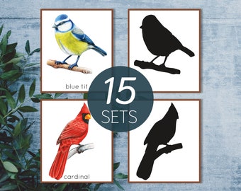 Bird Matching Cards - Etsy