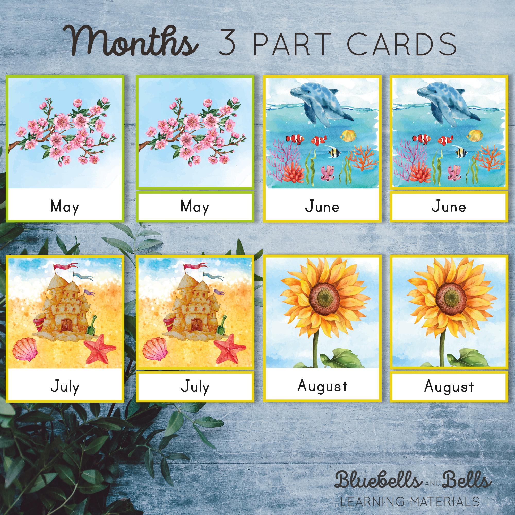 Months of the Year Montessori Printable Three Part Cards. - Etsy Canada