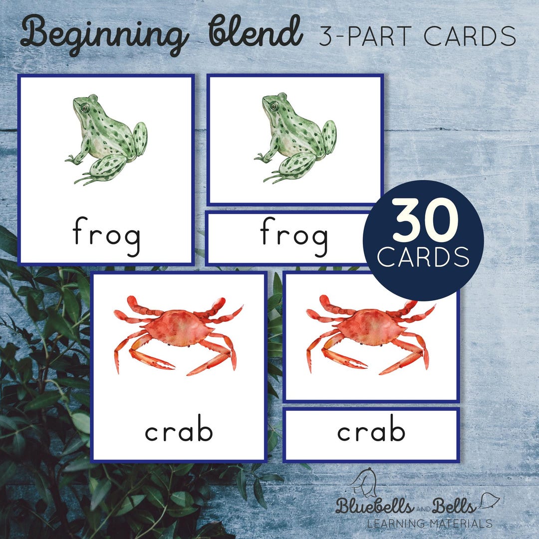 Beginning Blends 3-part Cards. CCVC Words Reading Activity. Montessori ...