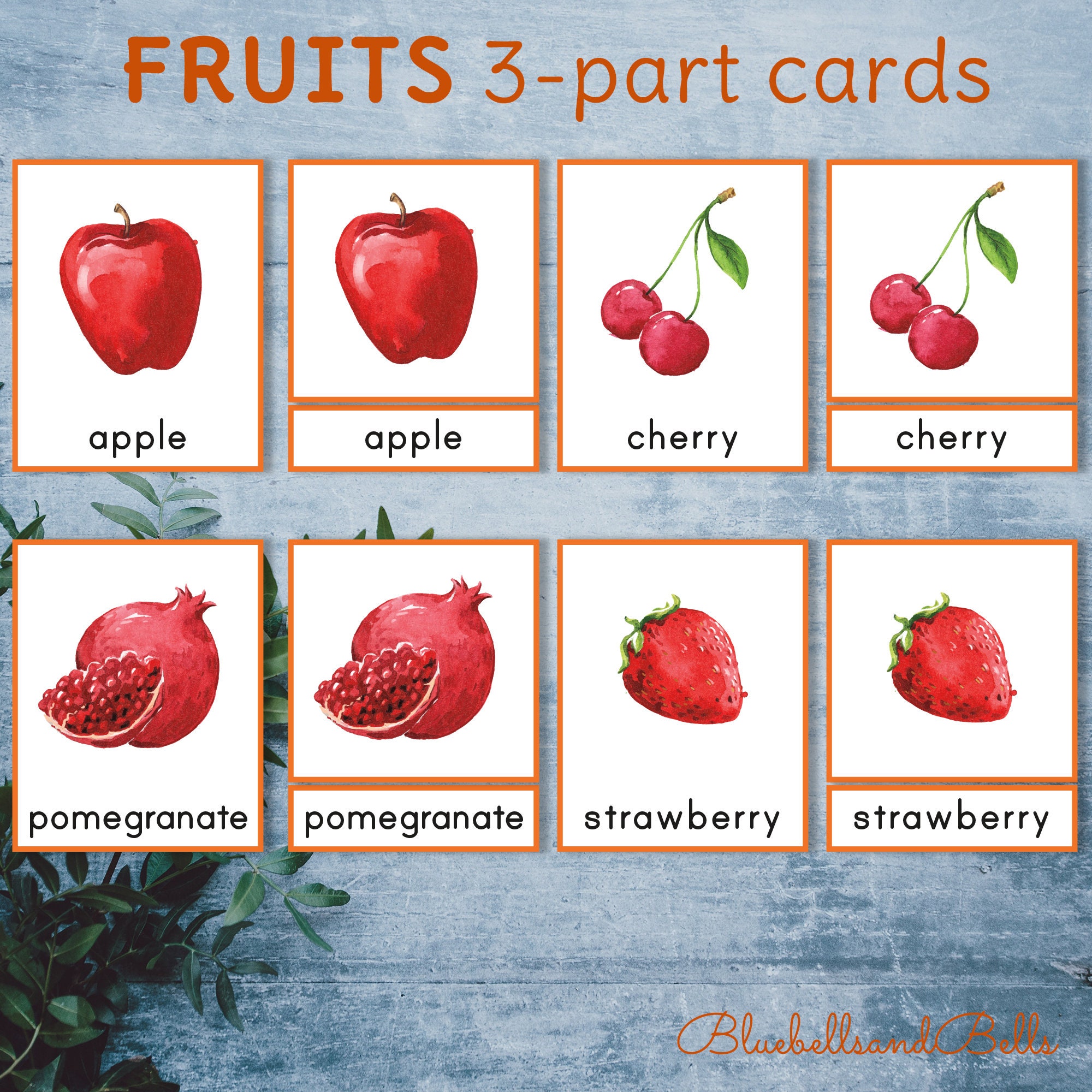 Fruits Montessori Three Part Cards. Vocabulary Activity for - Etsy