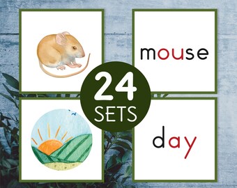 Winter Montessori Green Series Reading Cards picture and Word Matching ...