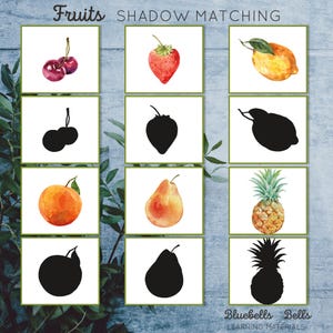 Fruit Shadow Matching Cards. Montessori Preschool Printable. Toddler ...