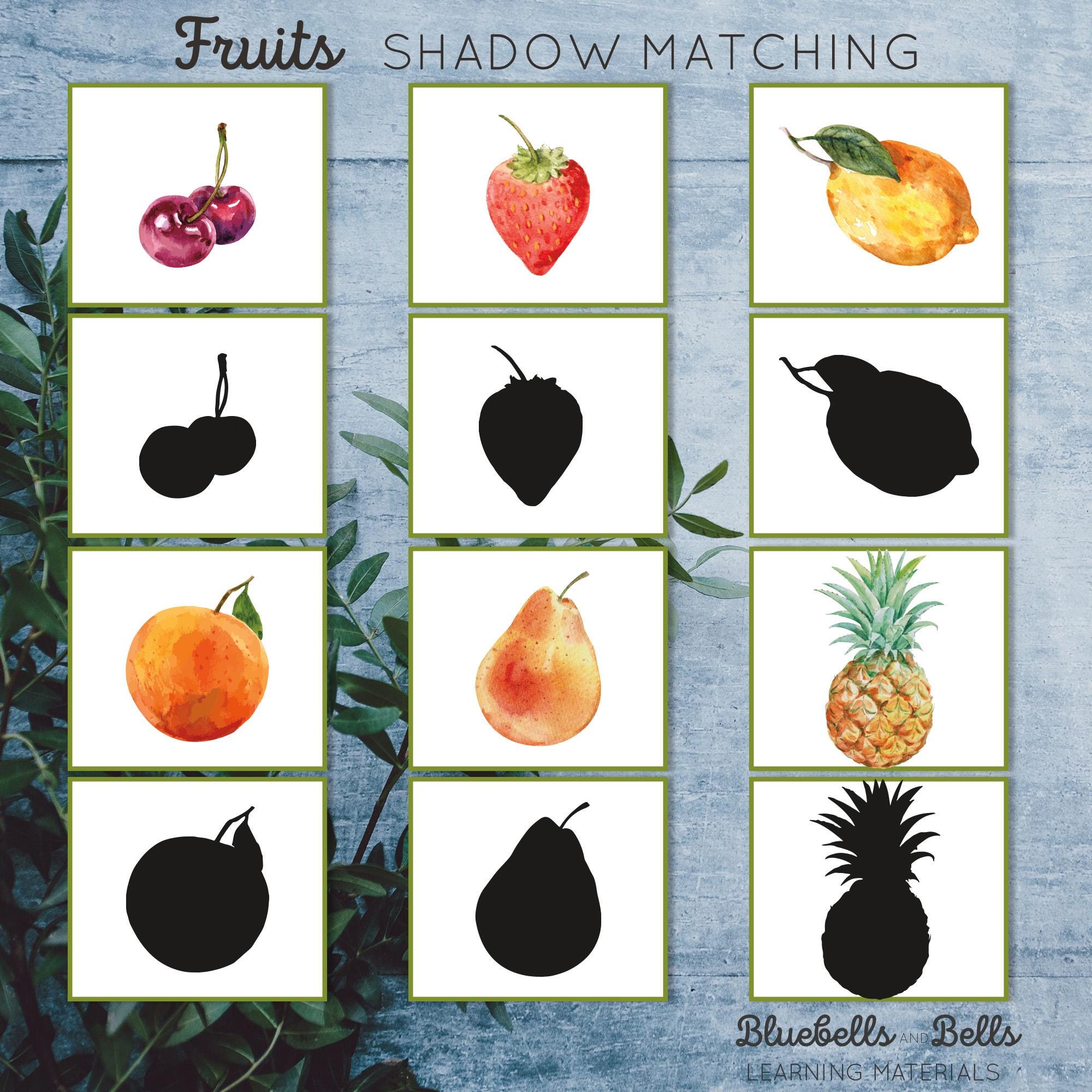 Fruit Shadow Matching Cards. Montessori Preschool Printable. Toddler ...