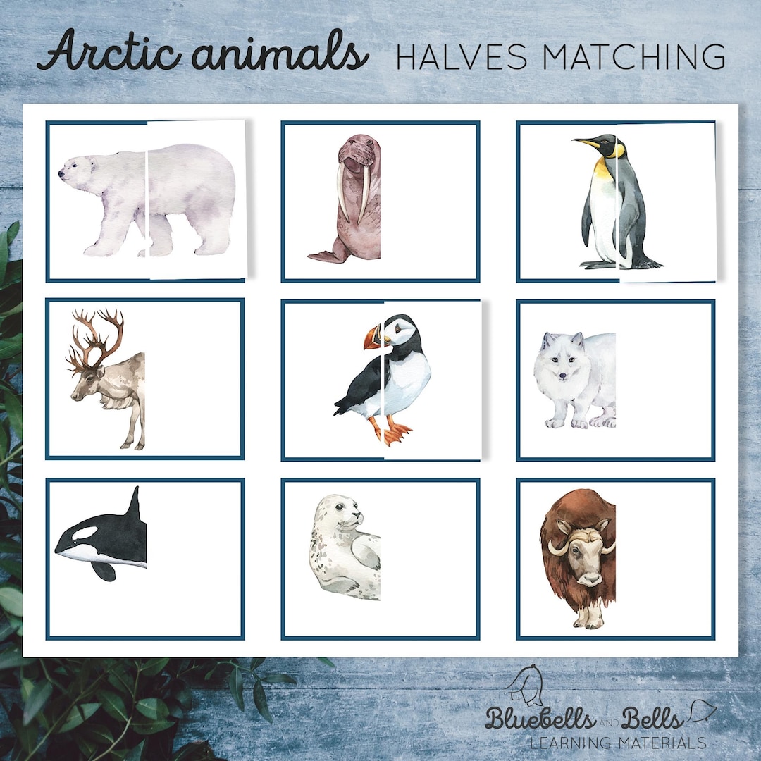Arctic Animals Puzzle Printable. Halves Matching Toddler Activity. - Etsy