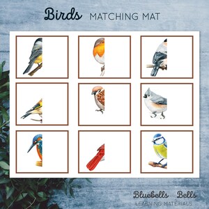 Toddler Puzzle Birds Halves Matching. Montessori Spring Printable Busy ...