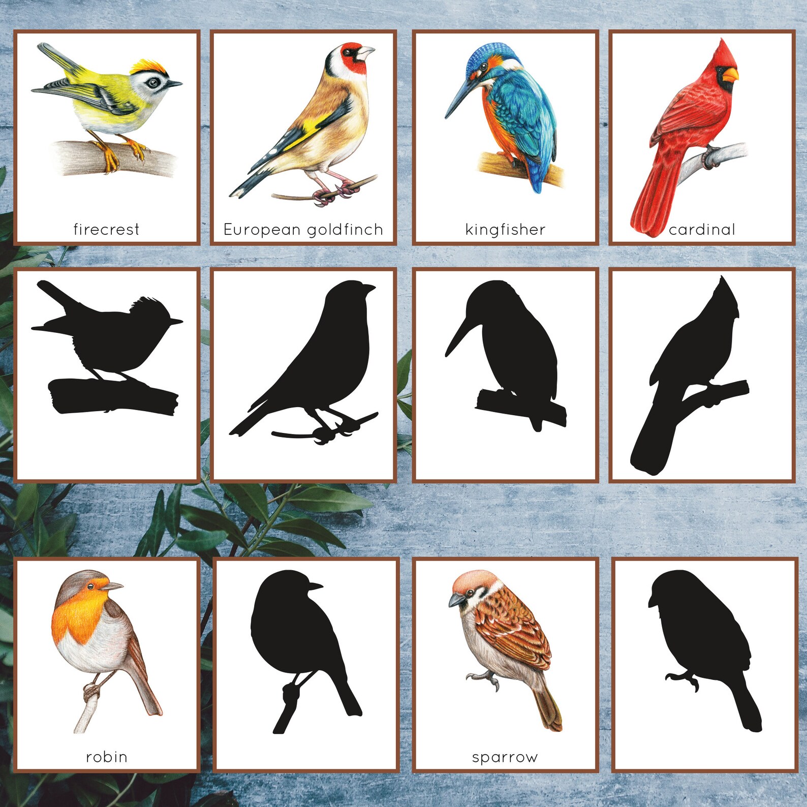 Bird Shadow Matching Flash Cards. Montessori Spring Printable. | Etsy