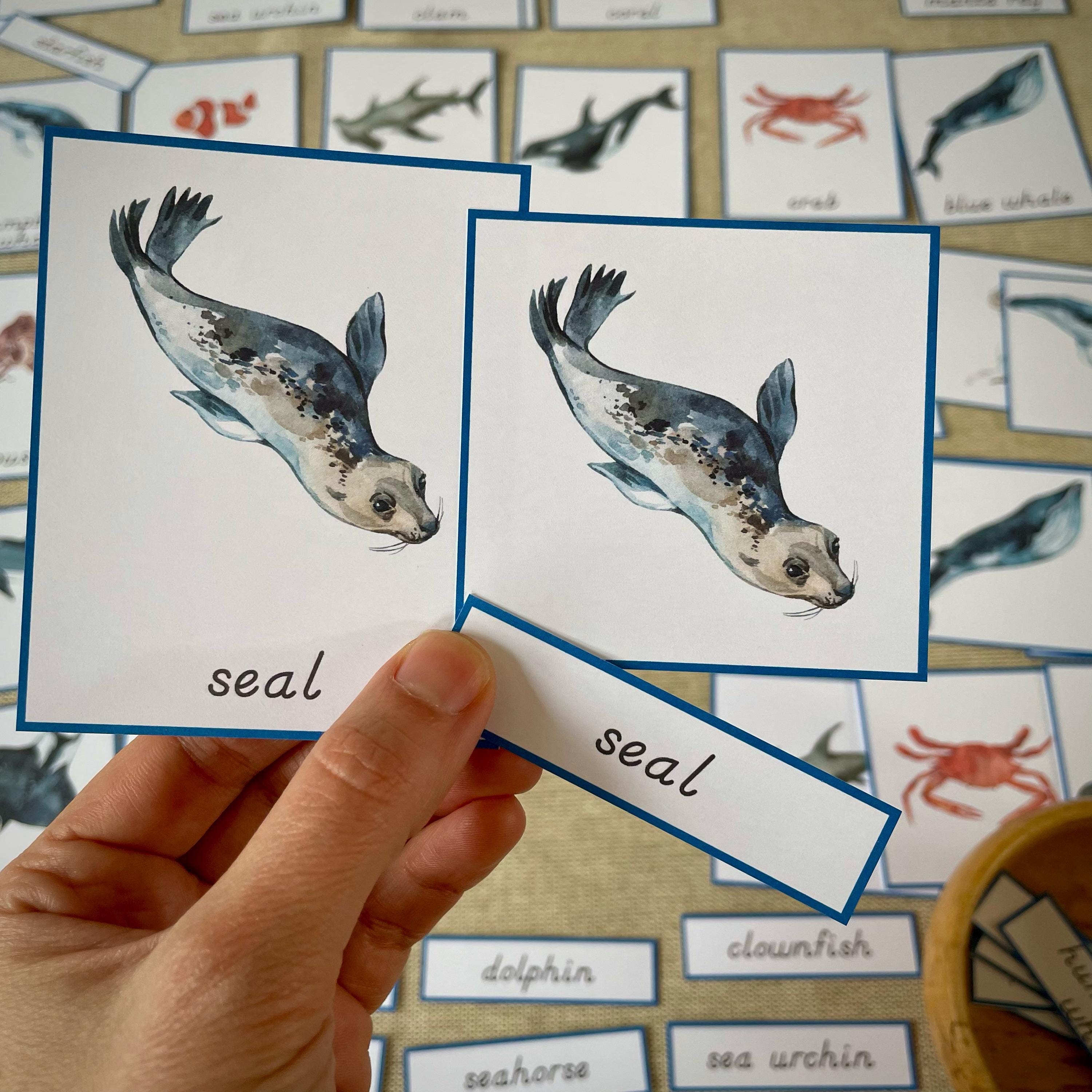 Ocean Montessori Printable 3 Part Cards. Preschool Vocabulary Cards ...