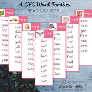 CVC Word Families Reading Lists. Montessori Pink Series Printable. - Etsy