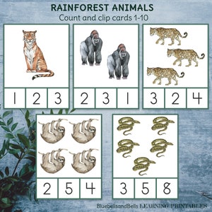 Rainforest Animals Count and Clip Cards 1-10. Preschool Math Printable ...