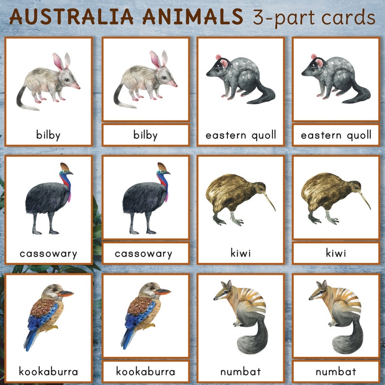 Australia Oceania Animals Montessori Printable 3 Part Cards. - Etsy
