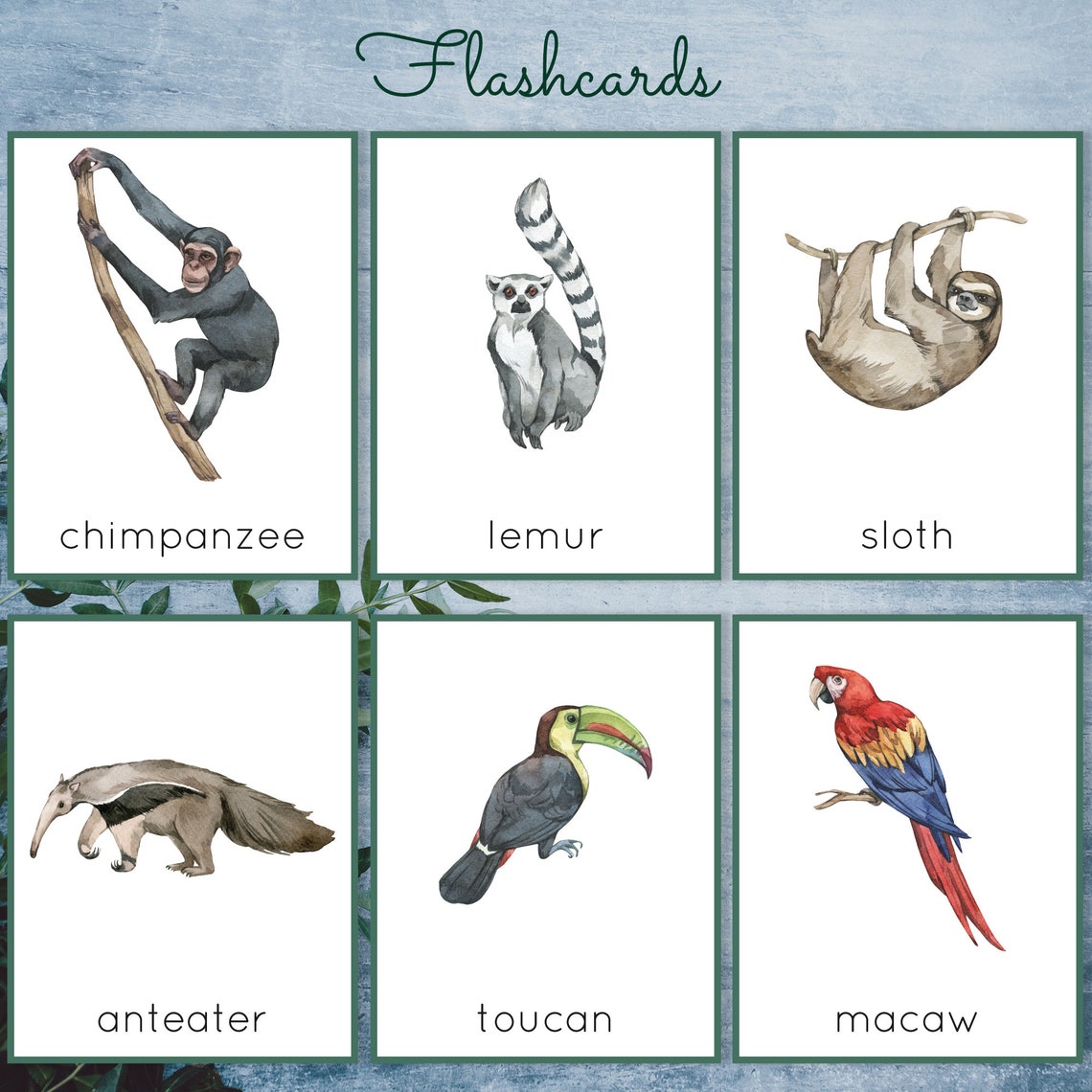 Rainforest Animal Flash Cards. Toddler Watercolor Cards. - Etsy