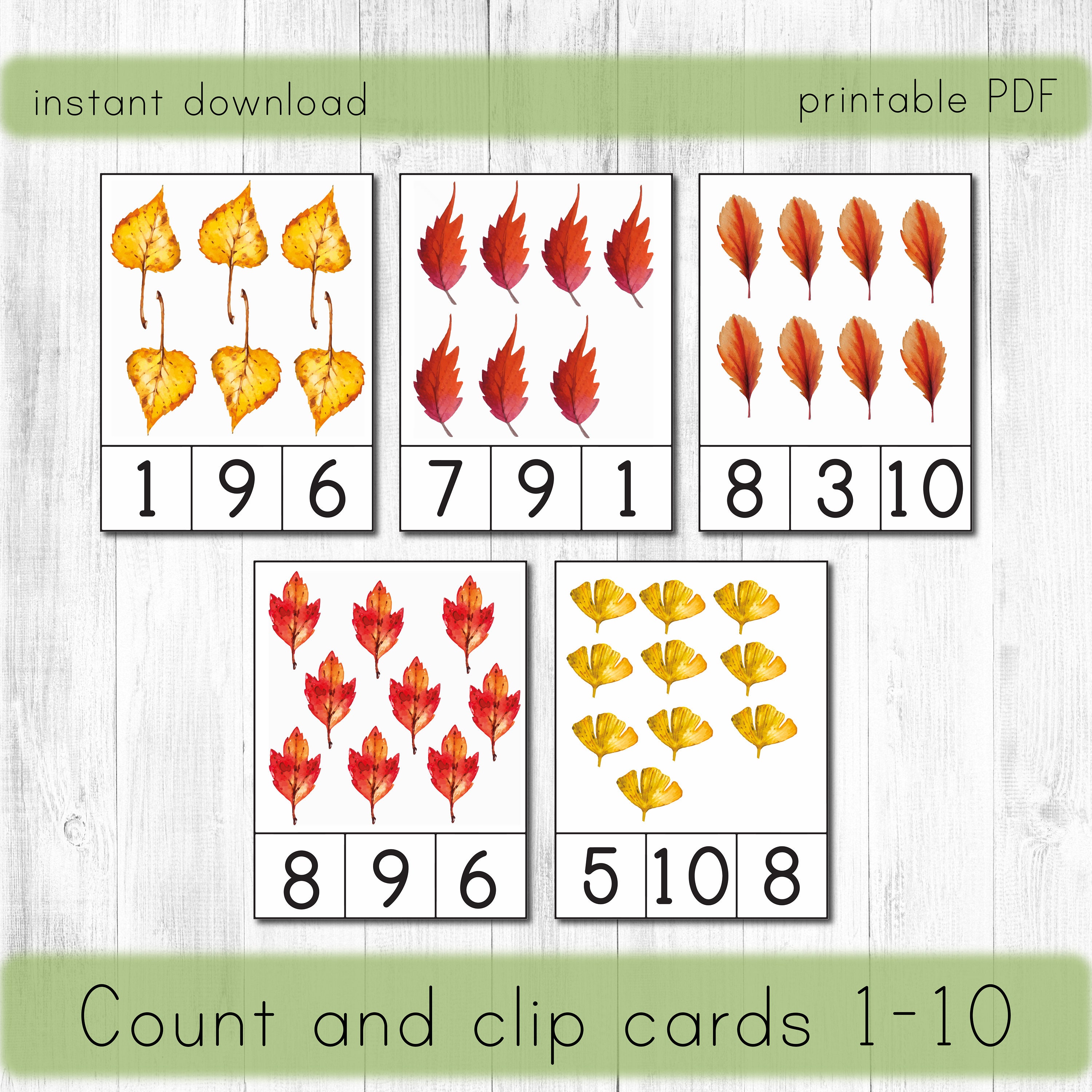 Fall Leaves Counting Cards 1-10. Montessori Math Printable. - Etsy