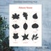 Fall Leaf Montessori Printable. Leaf Identification Preschool Printable ...