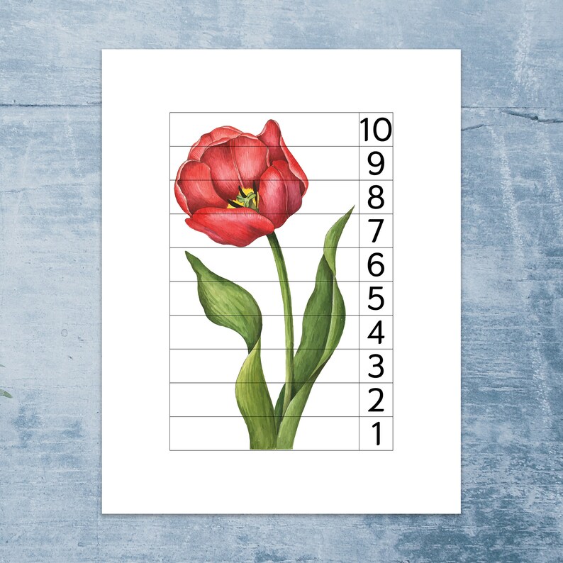 Flower Number Puzzles 1-10. Montessori Spring Printable. - Etsy