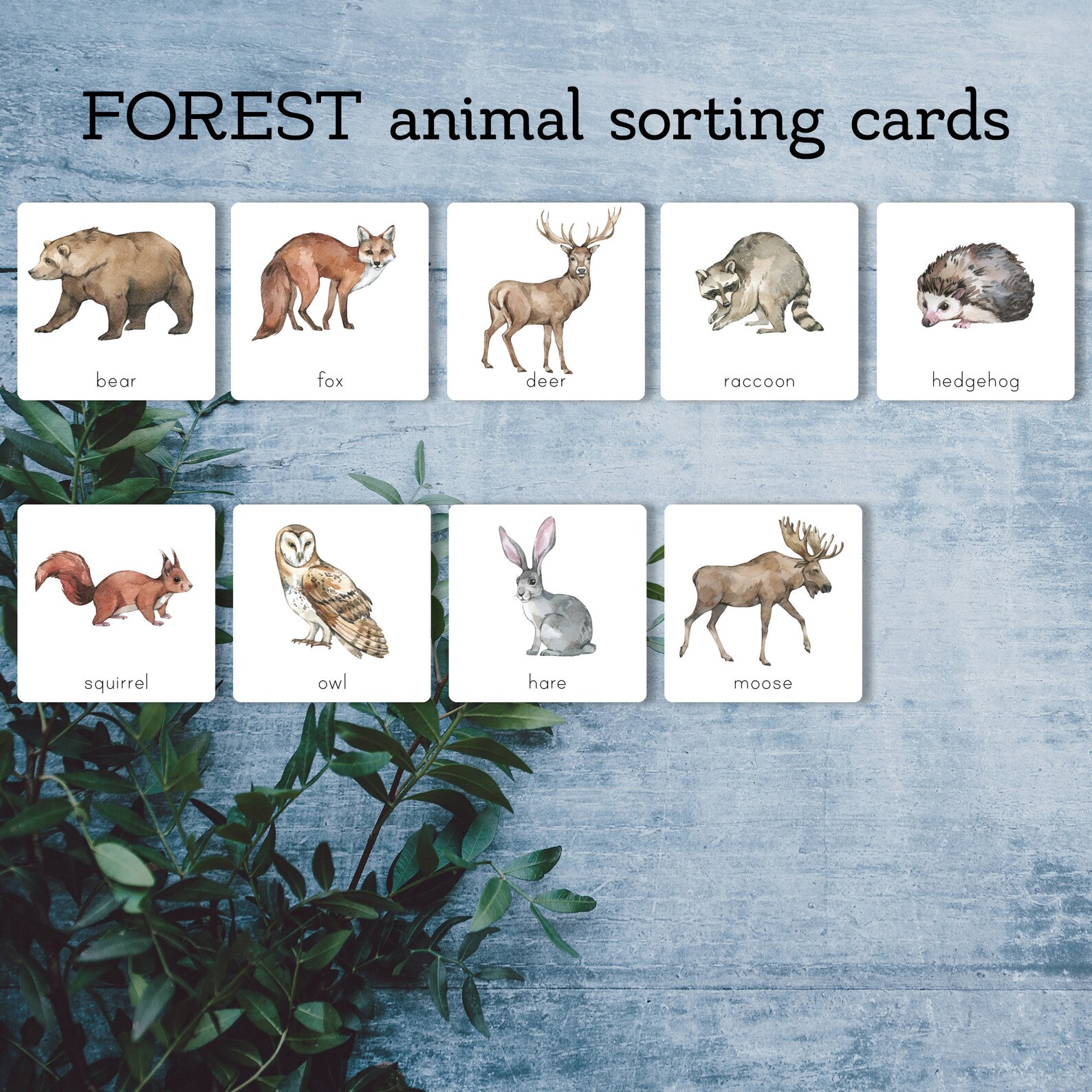 Animal Habitats Sorting Activity and Chart. Montessori - Etsy