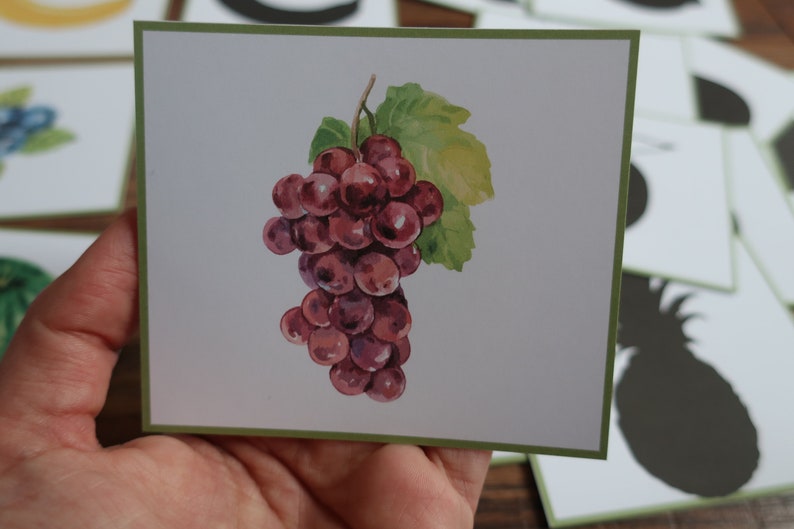 Fruit Shadow Matching Cards. Montessori Preschool Printable. | Etsy