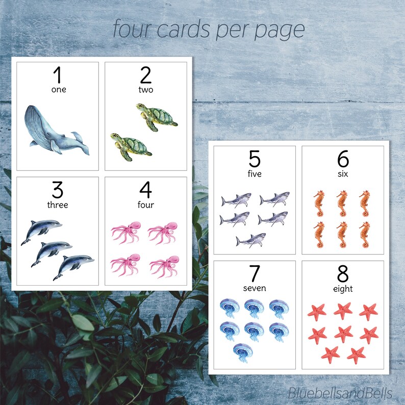 Number 1-10 Flashcards Ocean. Toddler Watercolor Printable - Etsy