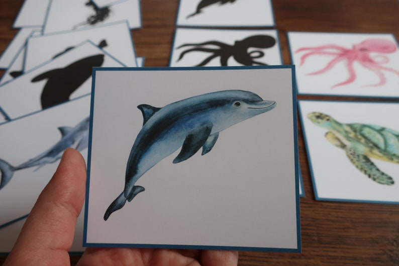 Ocean Animal Shadow Matching Cards. Montessori Summer - Etsy Canada