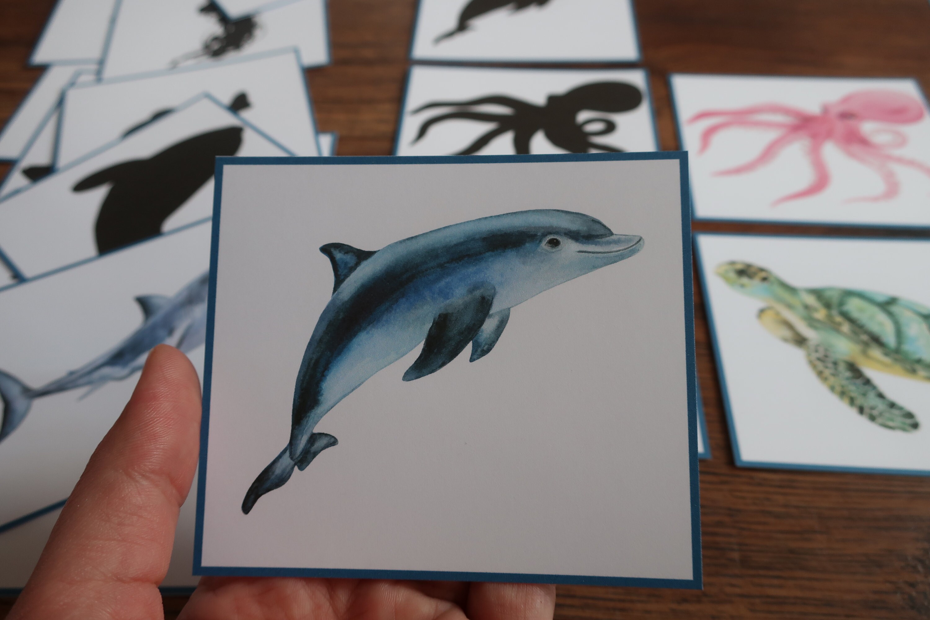 Ocean animal shadow matching cards. Montessori summer | Etsy
