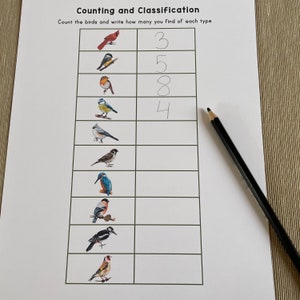 Birds Preschool Graphing. Spring Montessori Math Printable for ...